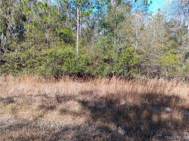 Sw Th St, Waldo, Plot For Sale