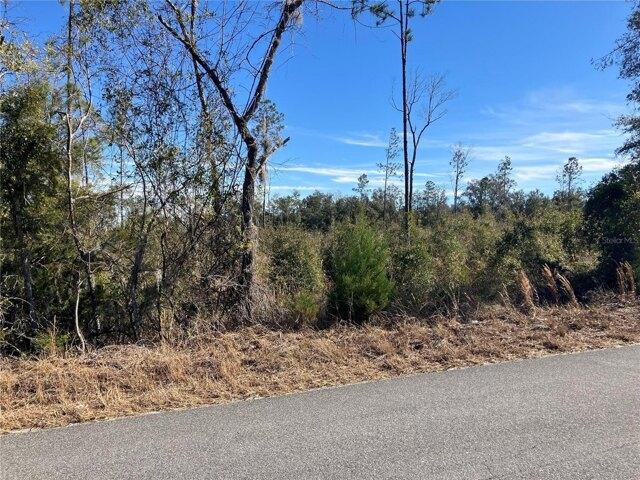 Sw Th St, Newberry, Plot For Sale