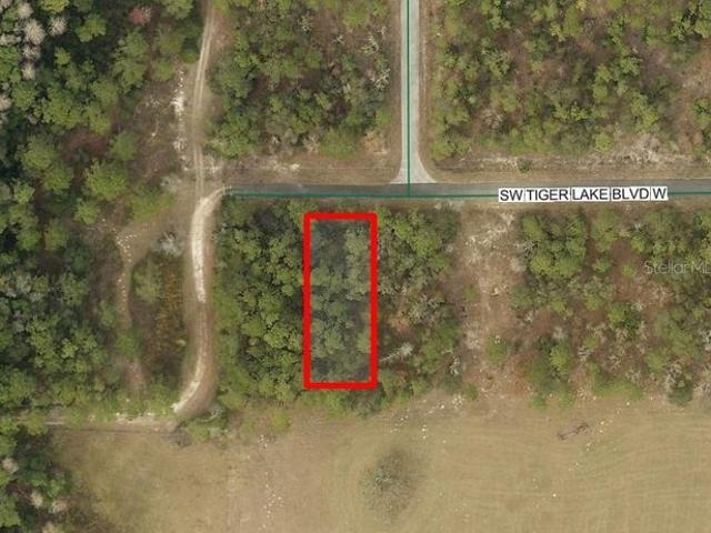 SW Tiger Lake Blvd, Dunnellon, FL 34432