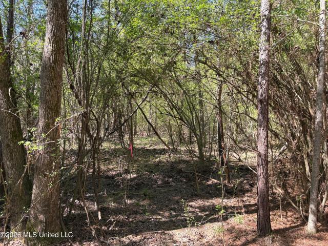SW Auburn Dr SW, Bogue Chitto, MS 39629 | MLS #4144 | Compass