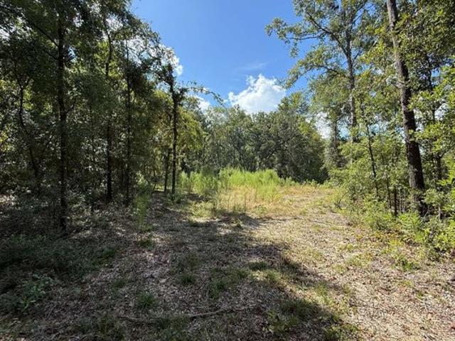SW Boundary Way, Fort White, FL 32038