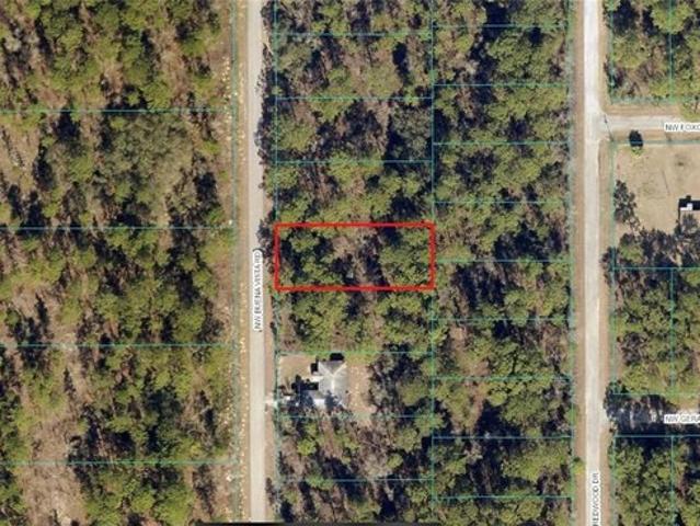 SW Buena Vista Rd, Dunnellon, FL 34431