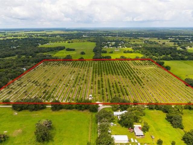 SW Carlton Ave, Arcadia, FL 34266