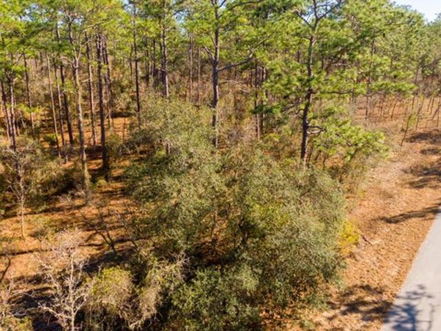 SW Commodore Rd, Dunnellon, FL 34431