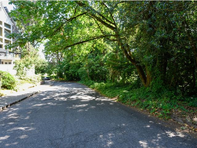 Sw condor ave # 5900