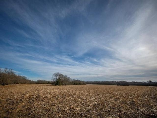 SW County 13007 Rd, Hume, MO 64752