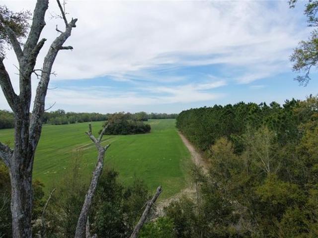 Sw County Road 344, Trenton, FL 32693
