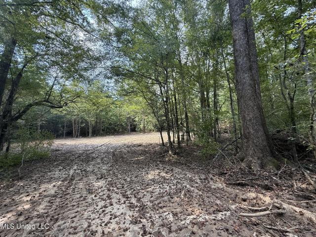 SW Dalton Lane, Smithdale, MS 39664