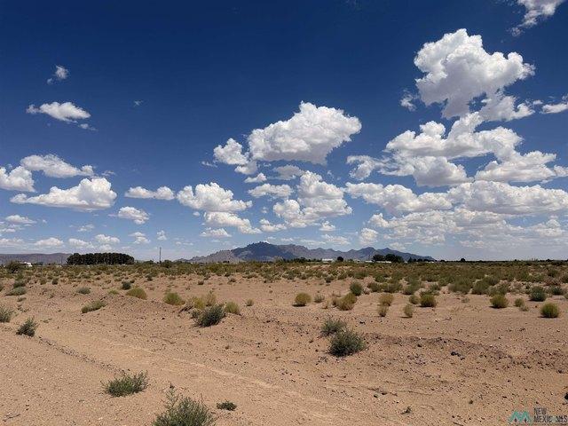 SW Earl Scott Trl, Deming, NM 88030