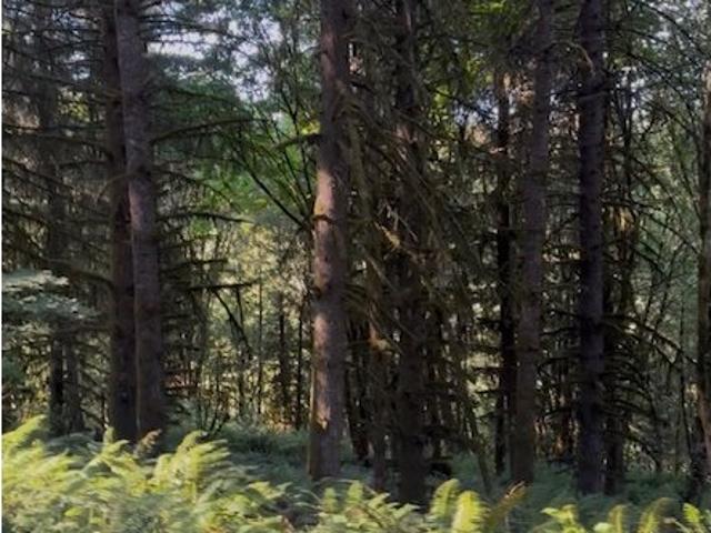 SW Finnigan Hill Rd