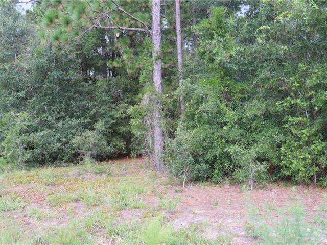 SW Floral Ct, Dunnellon, FL 34431
