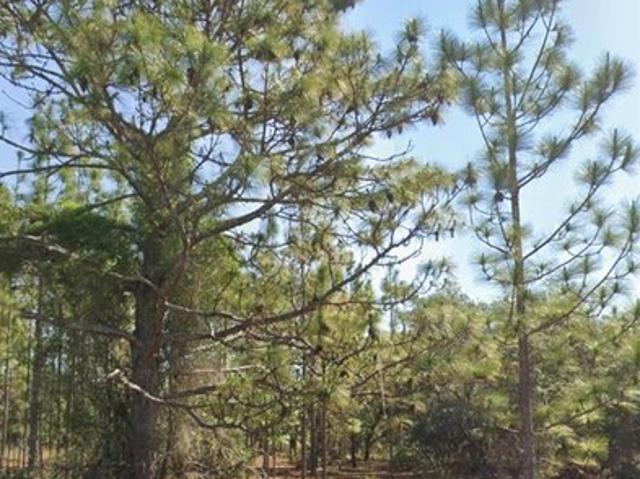 SW Floral Ct, Dunnellon, FL 34431