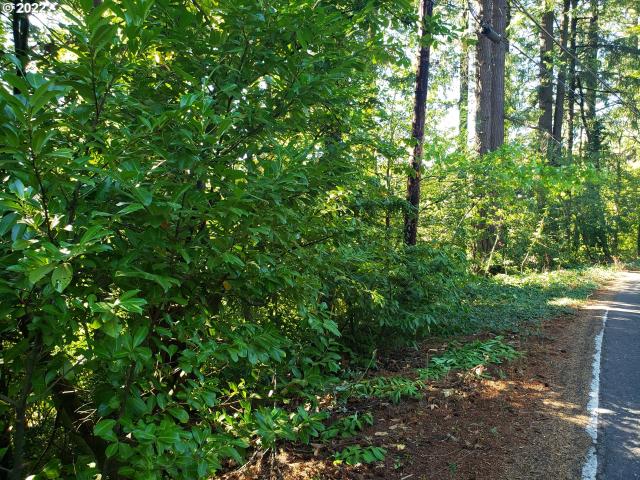 SW Hewett Blvd, Portland, OR 97221 | MLS #22201 | Compass