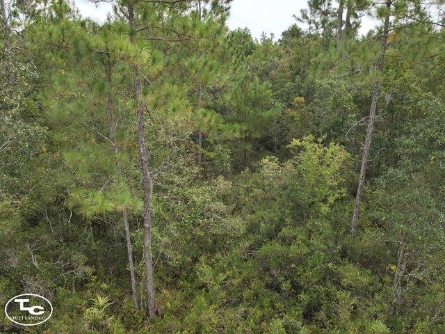 SW Hike Lake Rd, Madison, FL 32340
