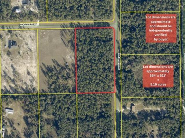 SW Jeanlea Pl, Fort White, FL 32038