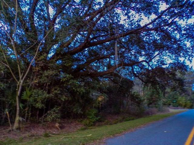 SW Kimberly Ln, Lake City, FL 32024