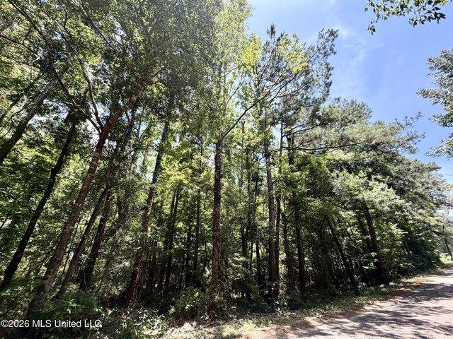 SW Linfrank Line Dr, Smithdale, MS 39664
