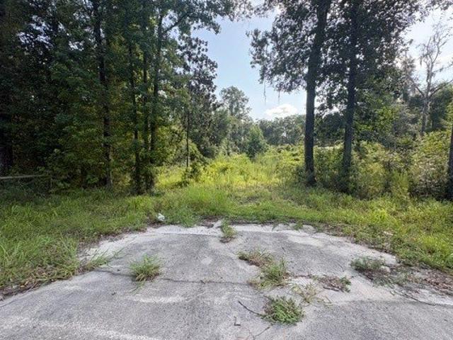 SW Newark Dr Lot 16, Fort White, FL 32008