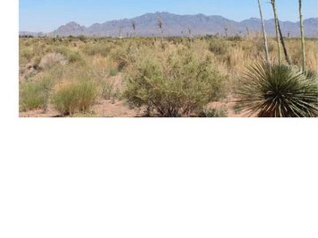 SW Paintbrush Rd, Deming, NM 88030