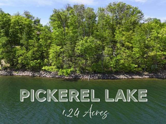 SW Pickerel Lake Rd, Detroit Lakes, MN 56511