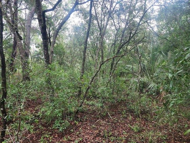 SW Sands Point Ave, Dunnellon, FL 34432