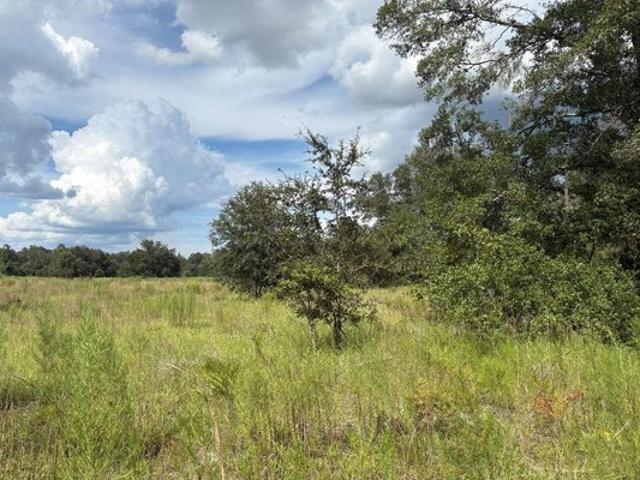SW Sabre Ave, Lake City, FL 32024