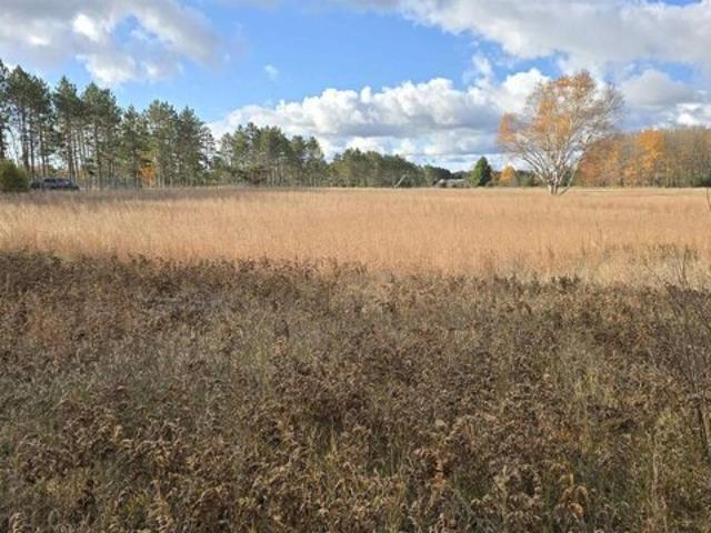 Sw, South Boardman, Plot For Sale