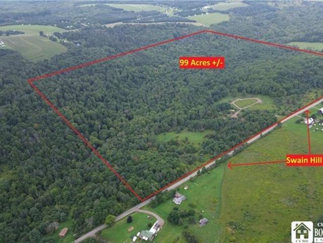 Swain Hill Rd, Andover, NY 14806