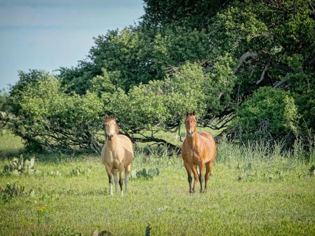 Swamp Creek Cv Lot 200, Burnet, TX 78611
