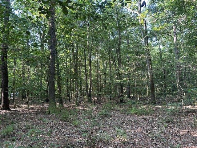 Swamp Fox Dr, Summerville, SC 29485