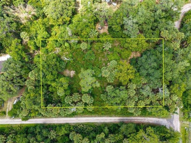 Swamp Ln, Geneva, FL 32732
