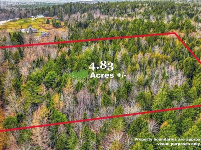 Swamp Rd, Gouldsboro, Plot For Sale