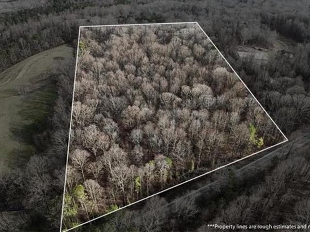 Swan Bridge Rd, Talking Rock, GA 30175