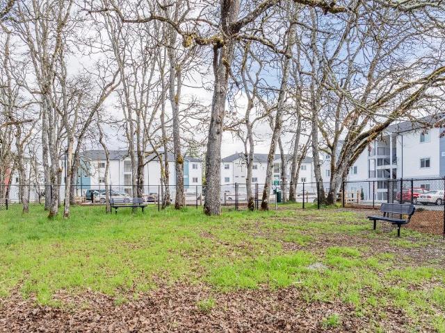 Swan Grove Apartments 1 Bedroom Apartment for Rent at 8920 Gravelly Lake Dr Sw, Lakewood, WA 98499 Lakeview