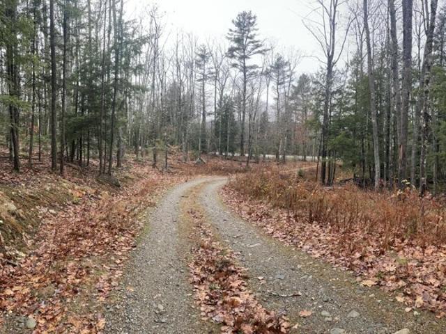 Swan Lake Ave, Swanville, Plot For Sale