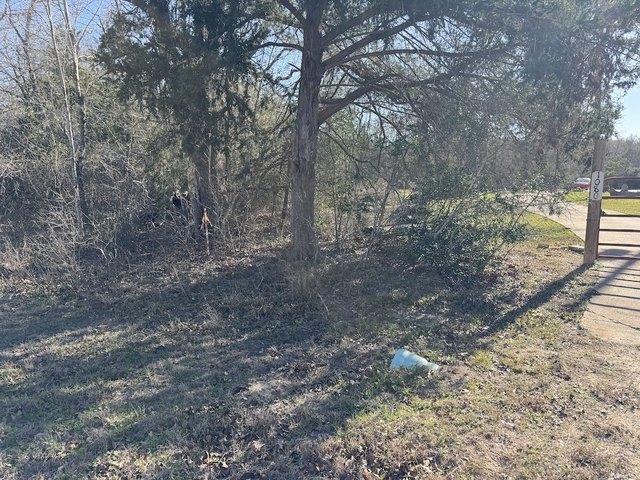 Swan Lake Dr N, Caldwell, TX 77836