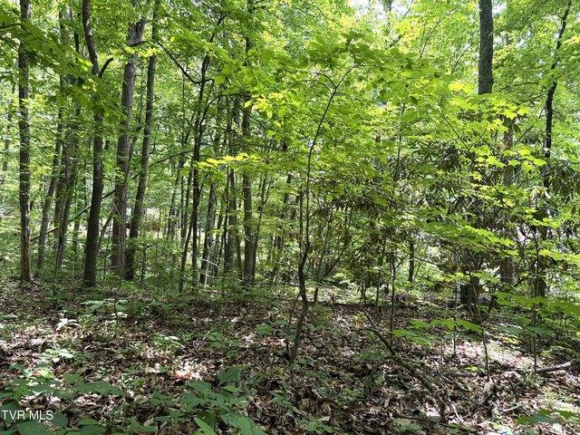 Swan Saddle Unit 10, Sevierville, TN 37876