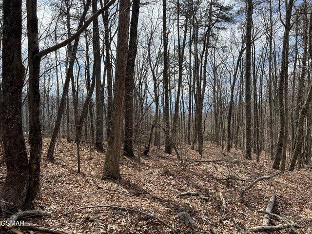 Swann Saddle Ln Lot 12, Sevierville, TN 37876