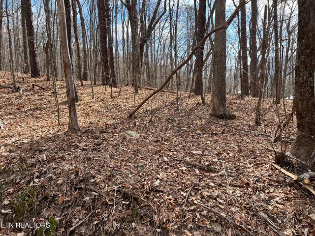 Swann Saddle, Sevierville, TN 37876