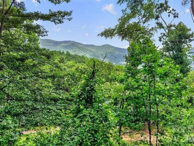 Swannanoa NC 28778 104899327