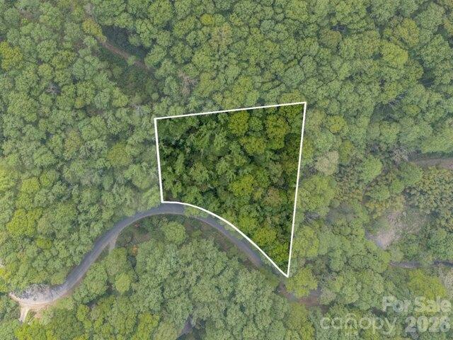 Swannanoa NC 28778 104900794