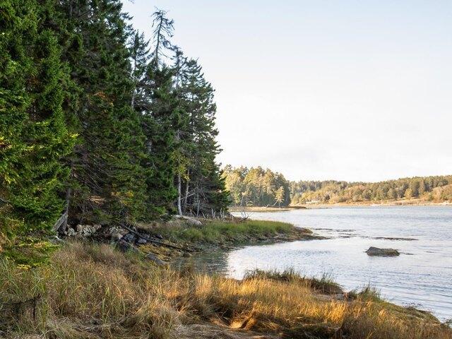 Swans Island ME 04685 104513862