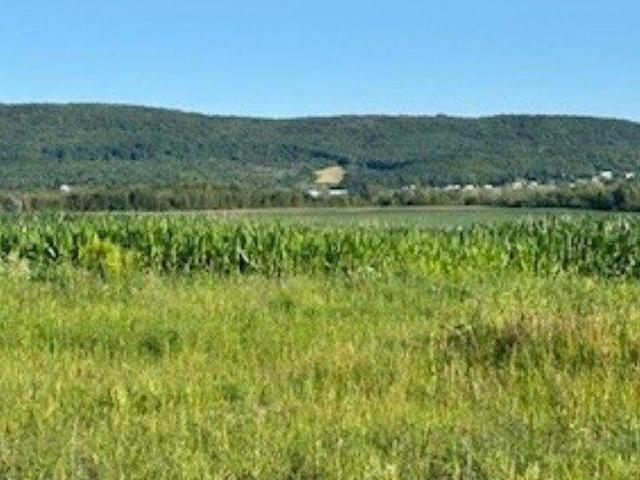 Swanton VT 05488 104112756