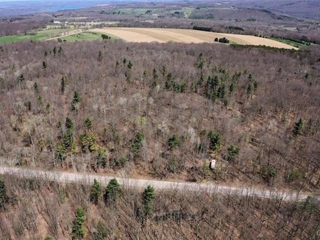 Swartz Rd, Dansville, Plot For Sale