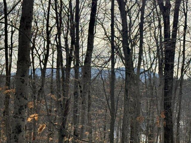 Sweden Rd Lot, Bridgton, Plot For Sale