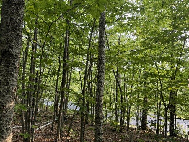 Sweden Rd Lot, Bridgton, Plot For Sale