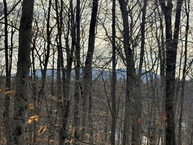 Sweden Rd Lot 15 3, Bridgton, ME 04009