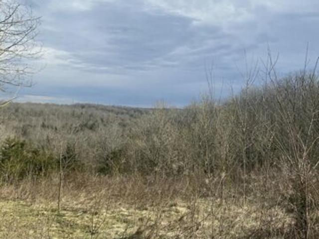 Sweeney Ridge Rd, Chaplin, Plot For Sale