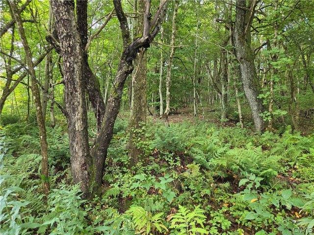 Sweeney/Seelman Truck Trail Rd, Constableville, NY 13325