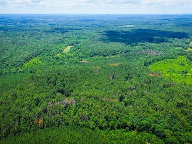 Sweet Water Rd, Daviston, AL 36256
